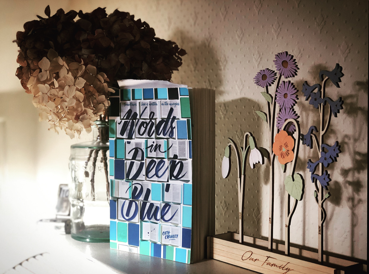 Words in Deep Blue by Cath Crowley – Views from a Bookshop