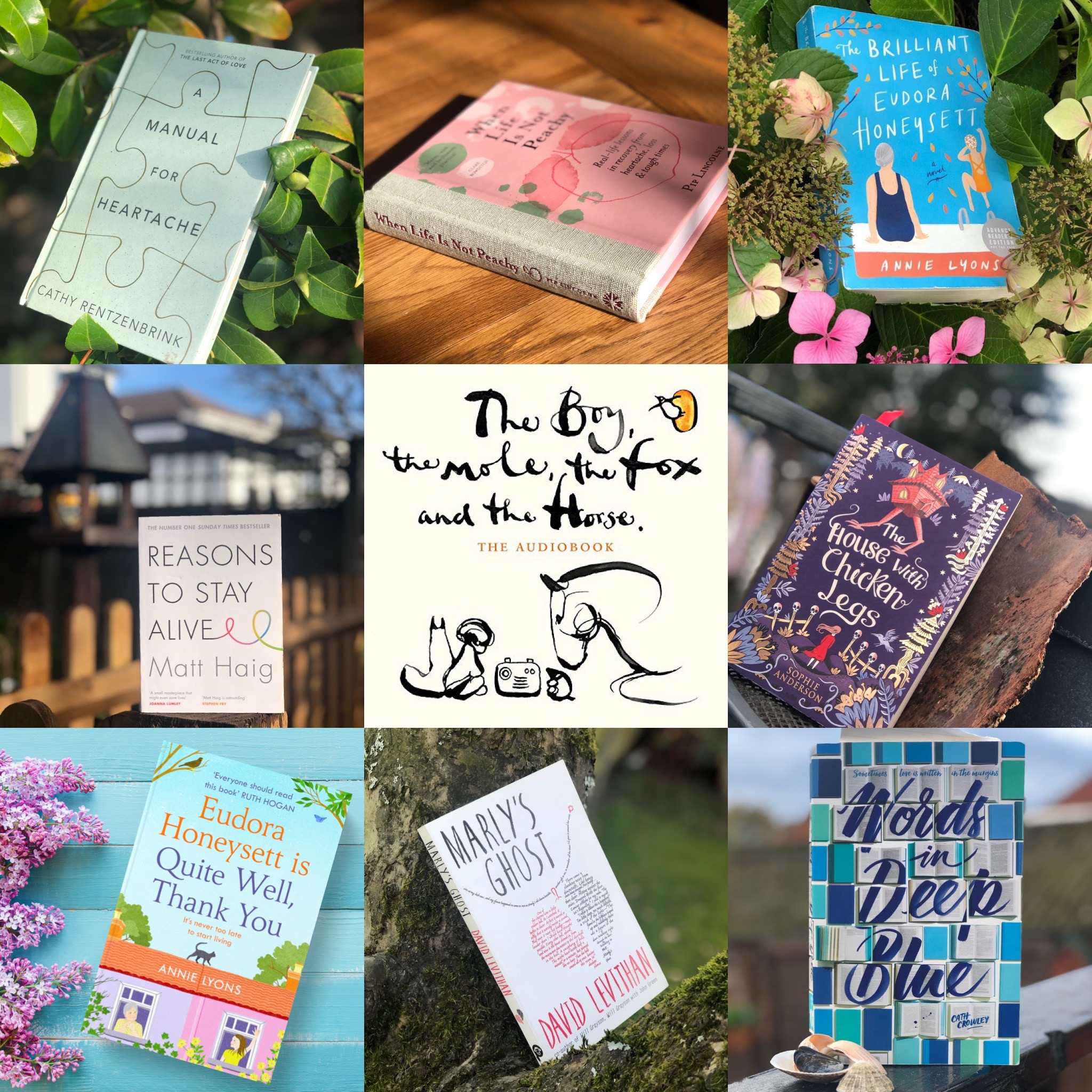 Book Recommendations – Views from a Bookshop